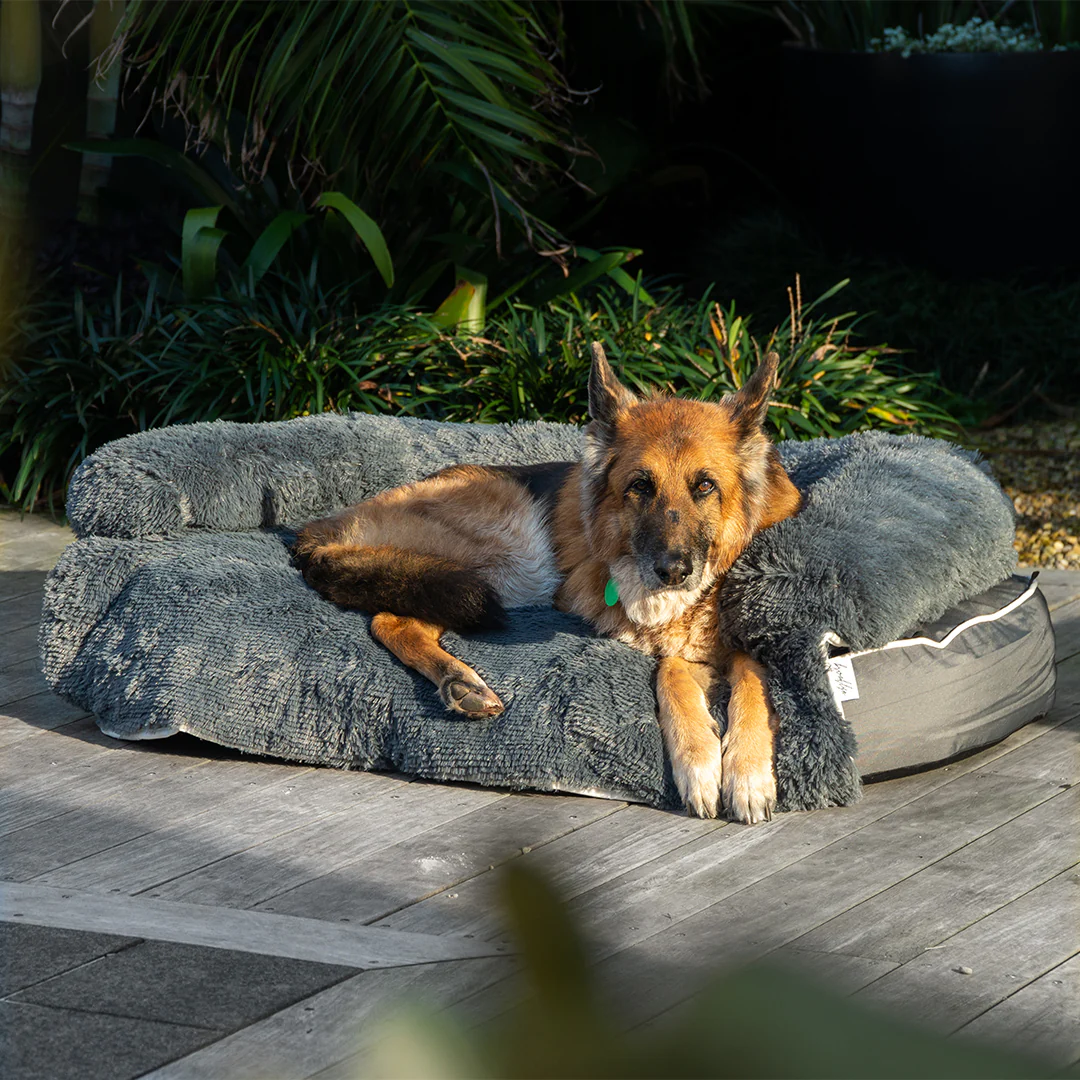 Eco-Friendly Dog Beds: Sustainable Options for Your Pet - DogiClub
