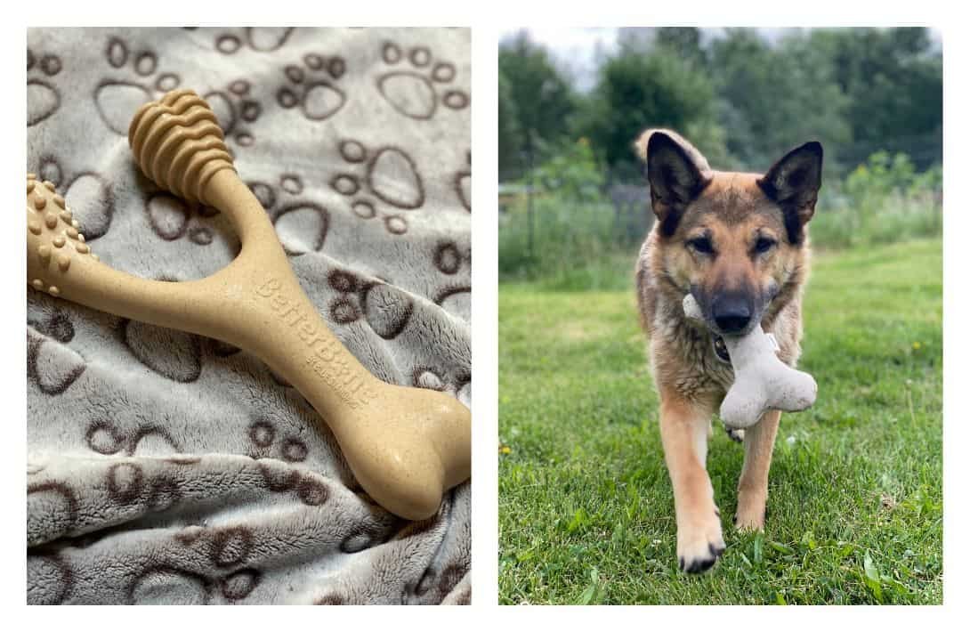 Eco-Friendly Dog Toys: Sustainable Choices for Your Pet - DogiClub